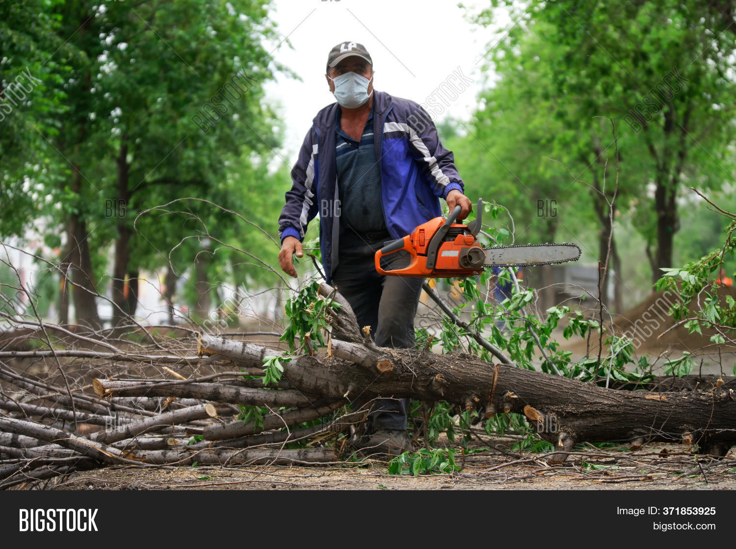 Work Chainsaw Conducts Image & Photo (Free Trial) | Bigstock