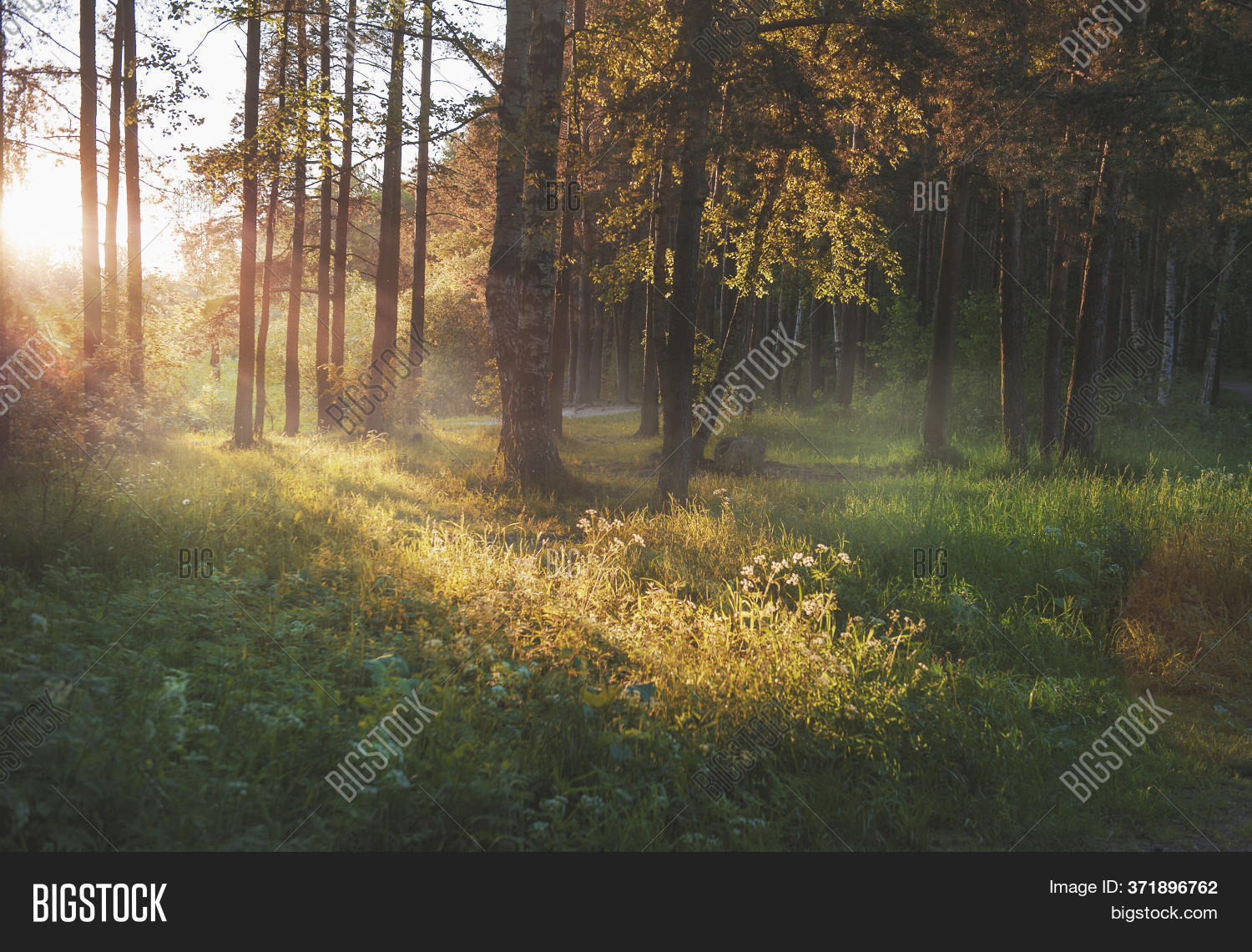 Vivid Beautiful Scene Image & Photo (Free Trial) | Bigstock
