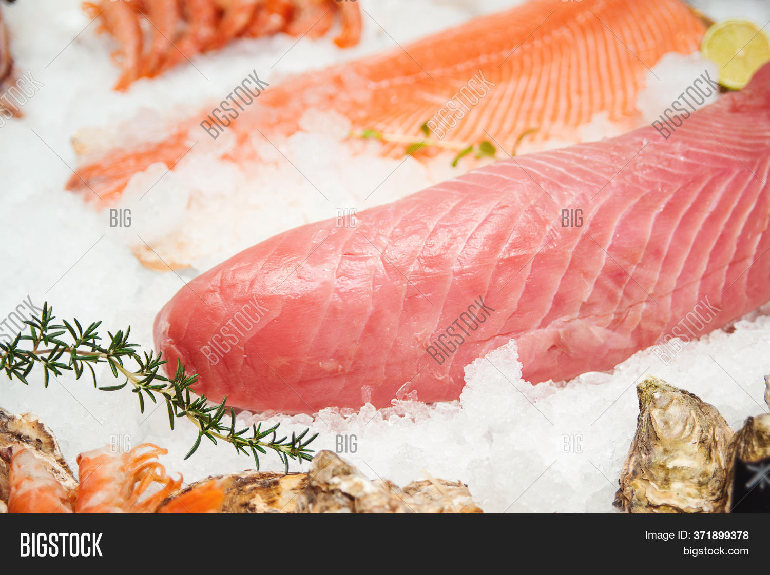 Fresh Tuna Filet On Image & Photo (Free Trial) | Bigstock