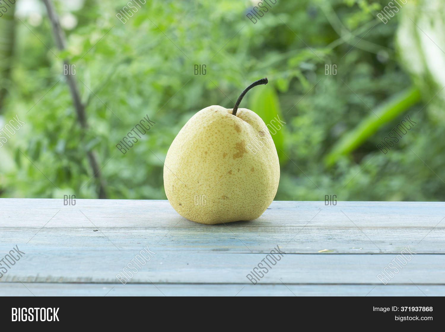 Barrow Fruit On Garden Image & Photo (Free Trial) | Bigstock