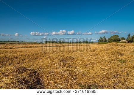 Ontario Canada Farm Landscape Images, Illustrations & Vectors (Free ...
