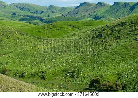 Evergreen Scenery View Image & Photo (Free Trial) | Bigstock
