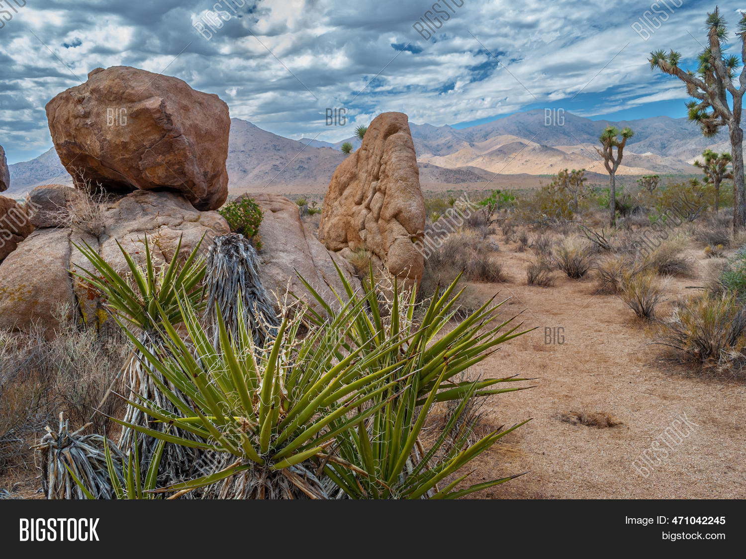 Scenic Look Inside Image & Photo (Free Trial) | Bigstock