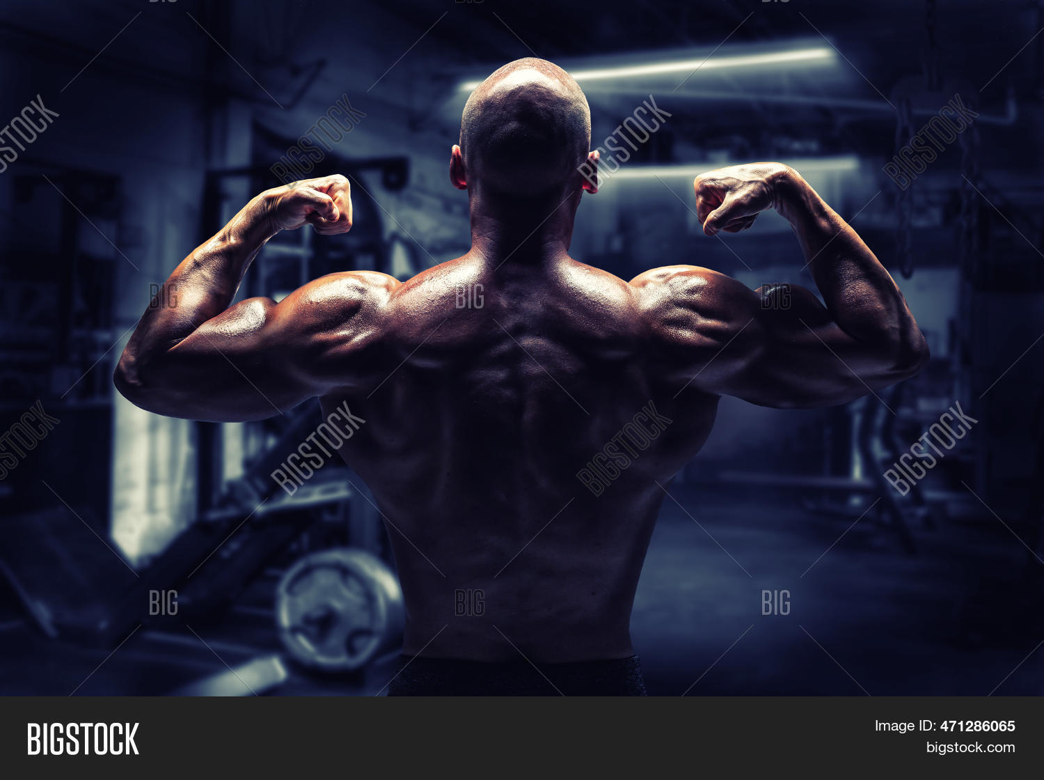 Strong Bodybuilder Man Image & Photo (Free Trial) | Bigstock