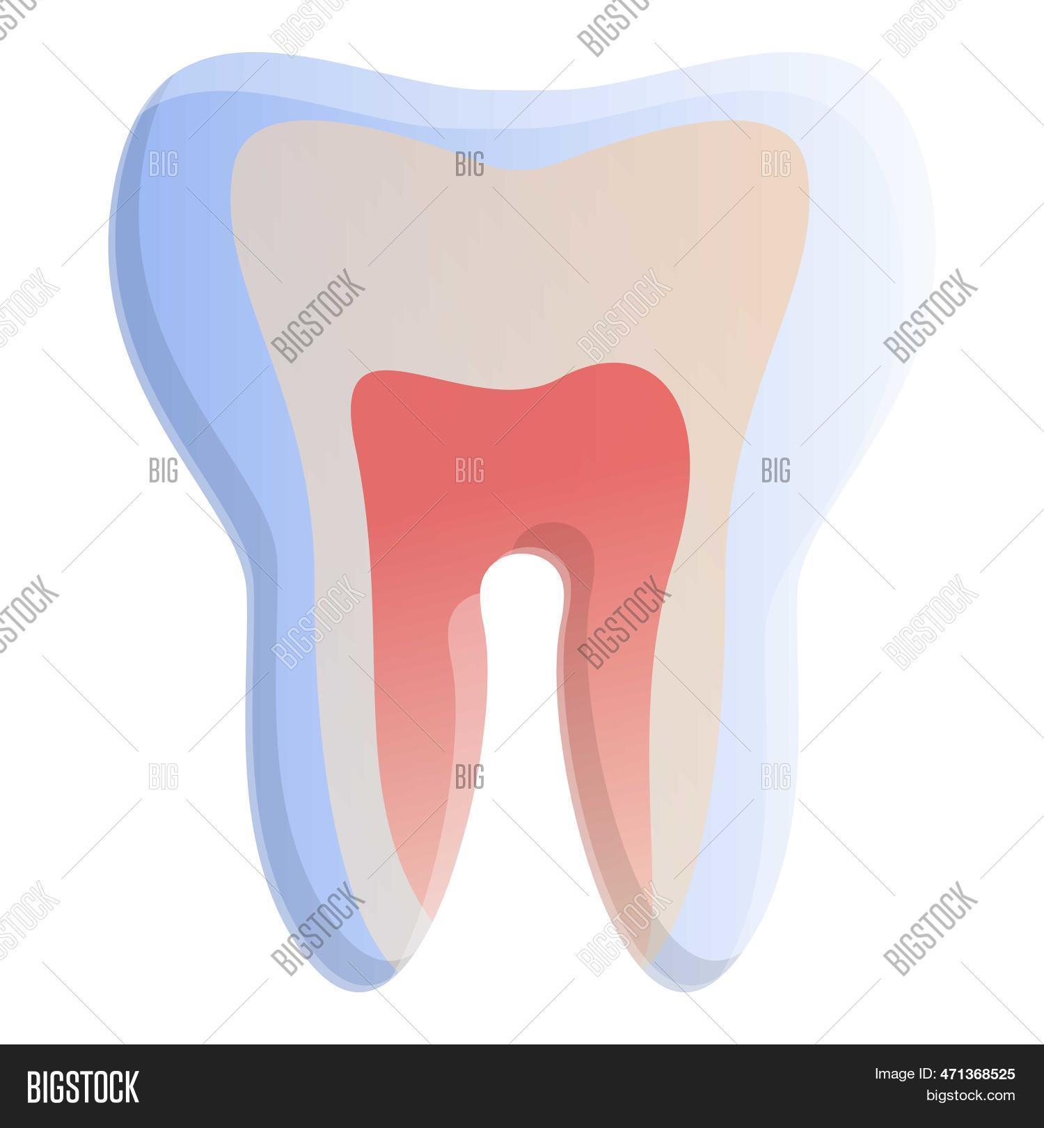 Tooth Pulp Icon. Image & Photo (Free Trial) | Bigstock
