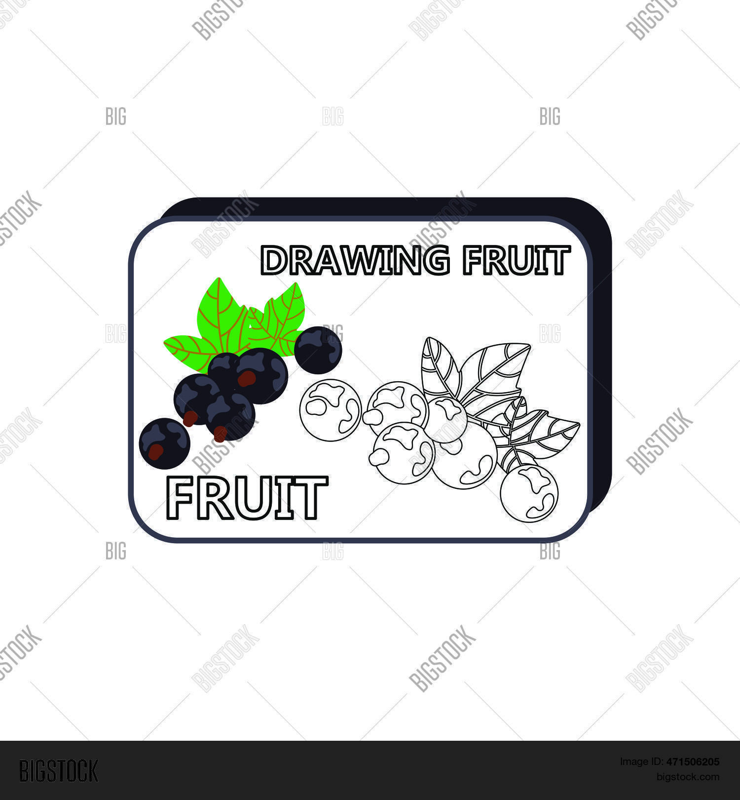 How Draw Blueberries Vector & Photo (Free Trial) | Bigstock