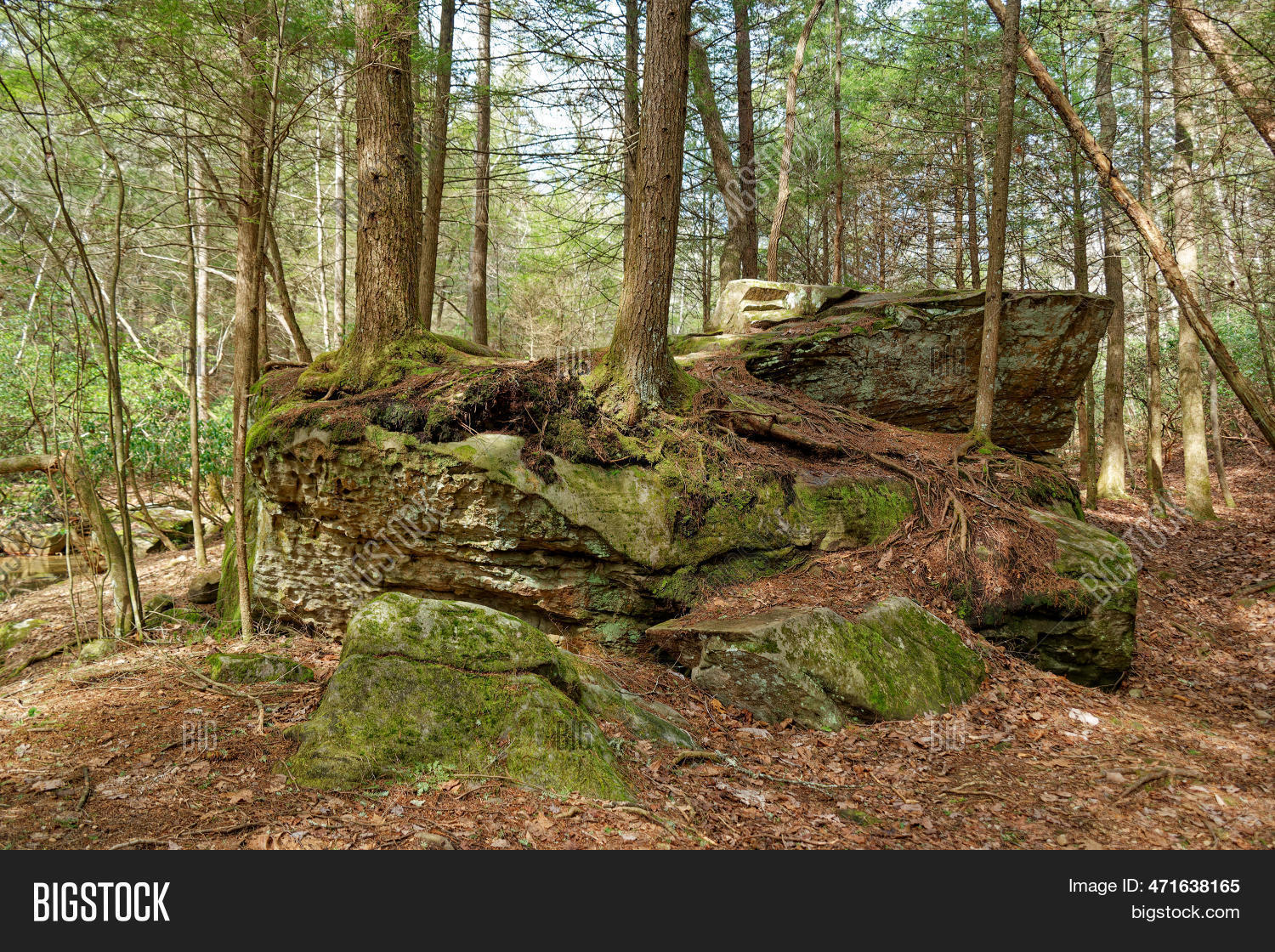 Cluster Boulders Image & Photo (Free Trial) | Bigstock