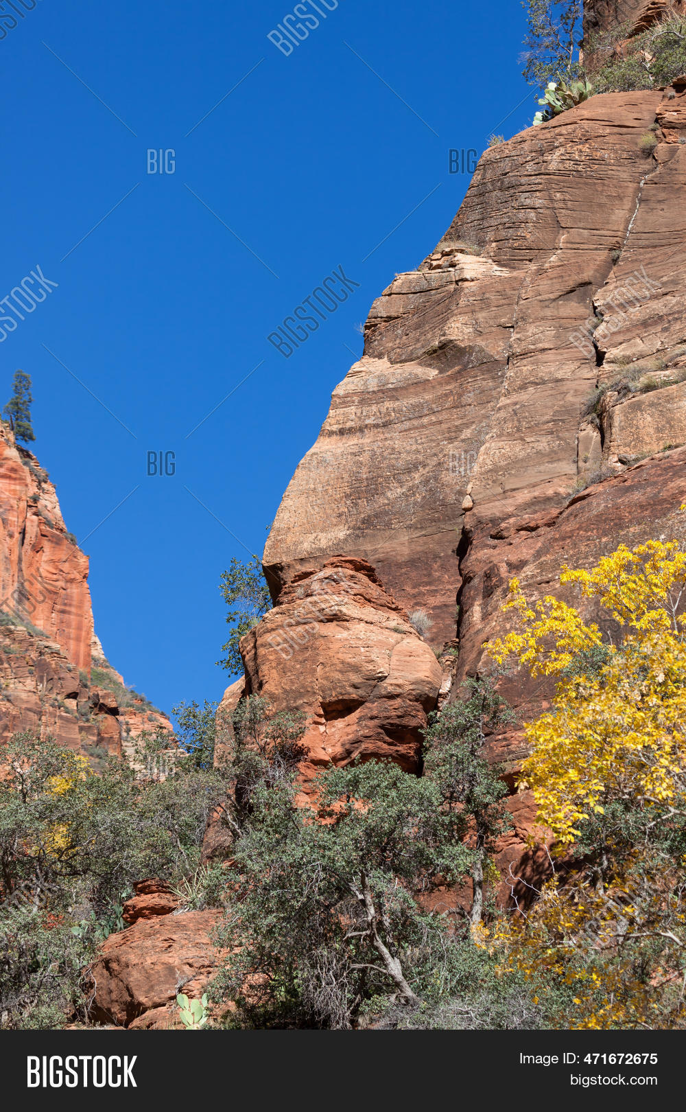 Tall Rock Cliffs Zion Image & Photo (Free Trial) | Bigstock