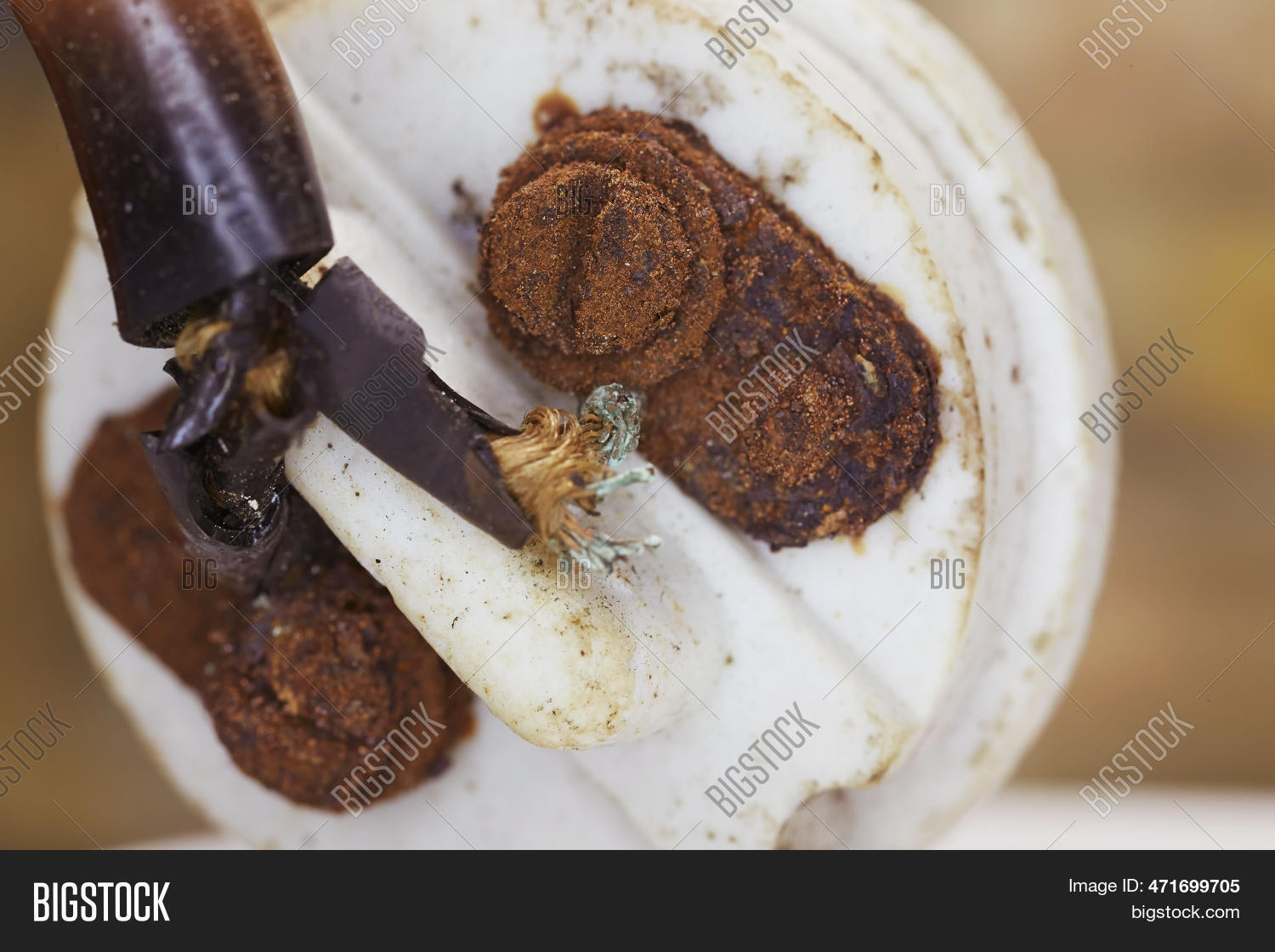 Rusted Electrical Image & Photo (Free Trial) | Bigstock