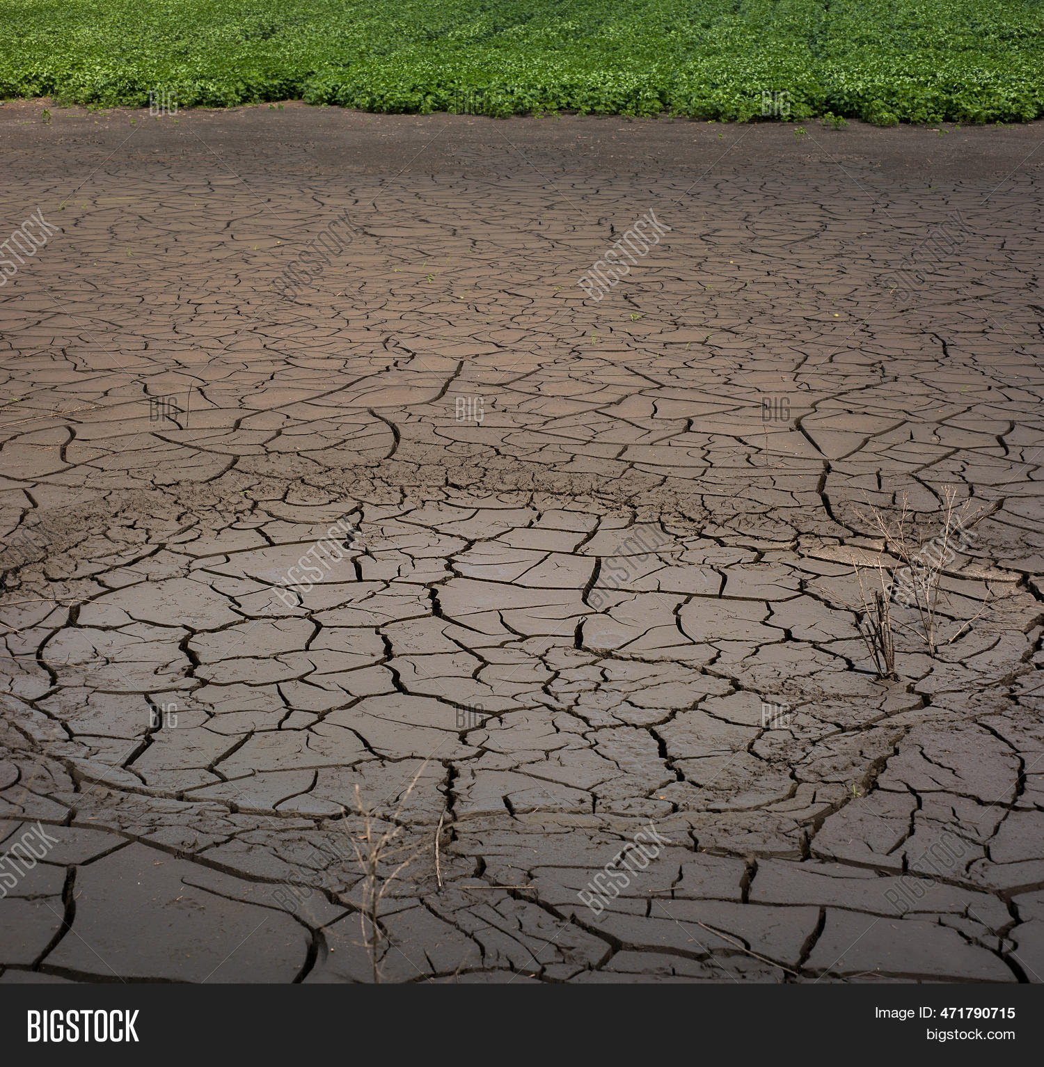Rapidly Dried Out Image & Photo (Free Trial) | Bigstock