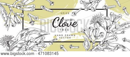 Clove Decorative Vector & Photo (Free Trial) | Bigstock