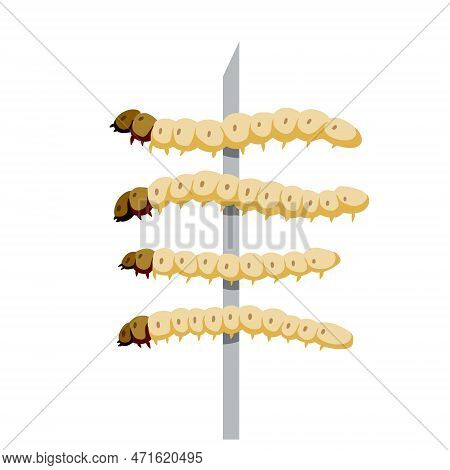 Edible Larva. Eating Vector & Photo (Free Trial) | Bigstock