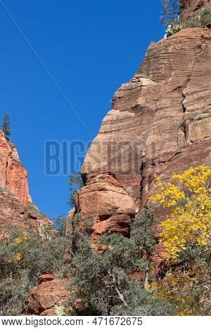 Tall Rock Cliffs Zion Image & Photo (Free Trial) | Bigstock