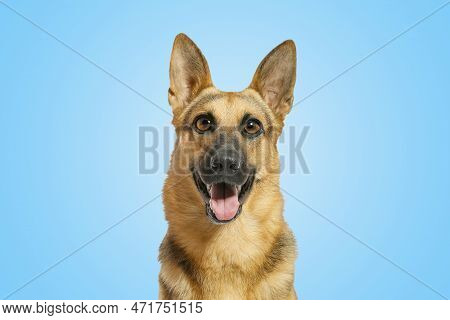 Cute Surprised German Image & Photo (Free Trial) | Bigstock