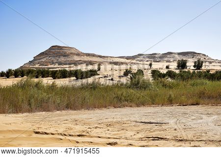 Scenery Stone Hills Image & Photo (Free Trial) | Bigstock