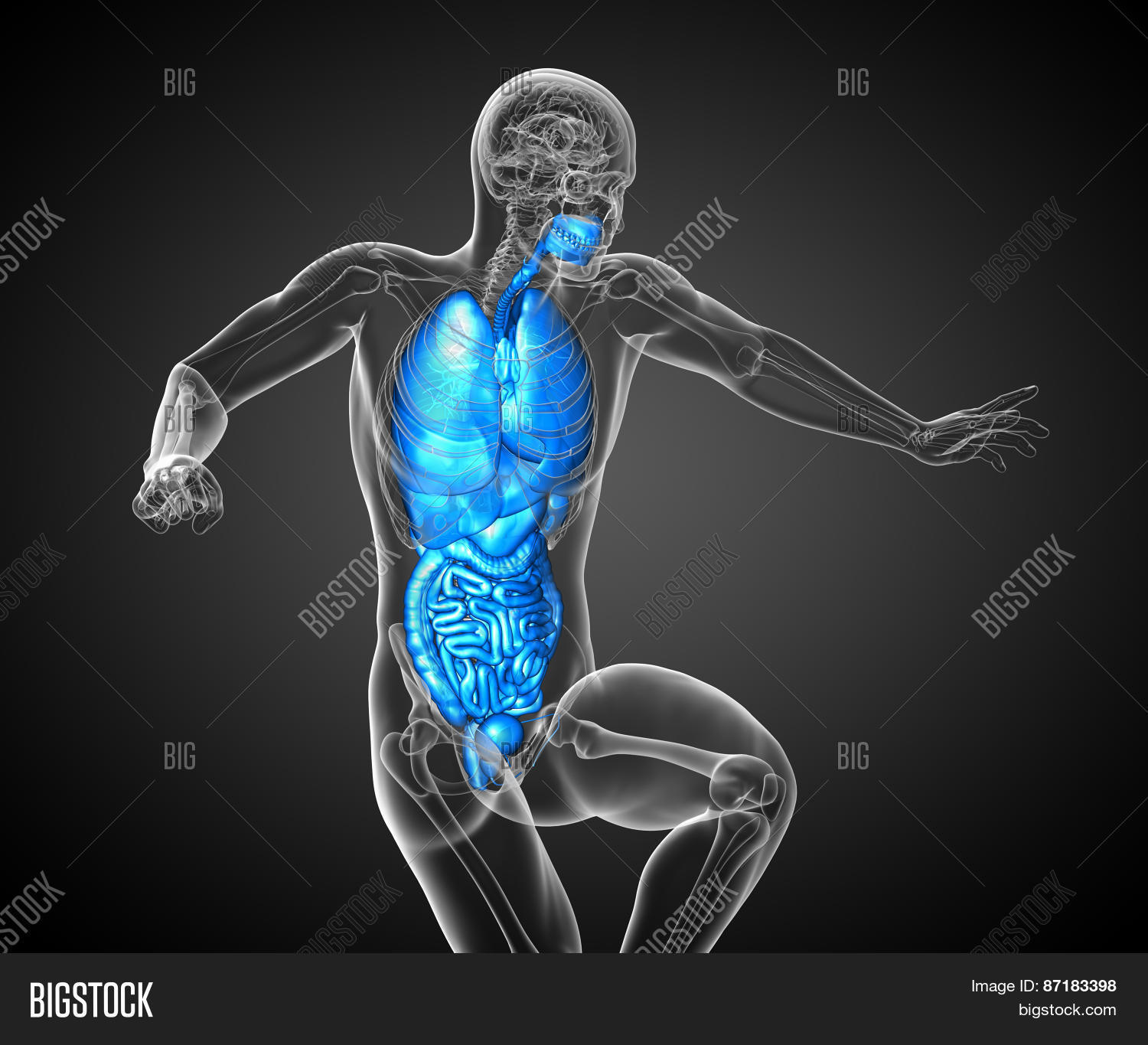 3D Render Medical Image & Photo (Free Trial) | Bigstock