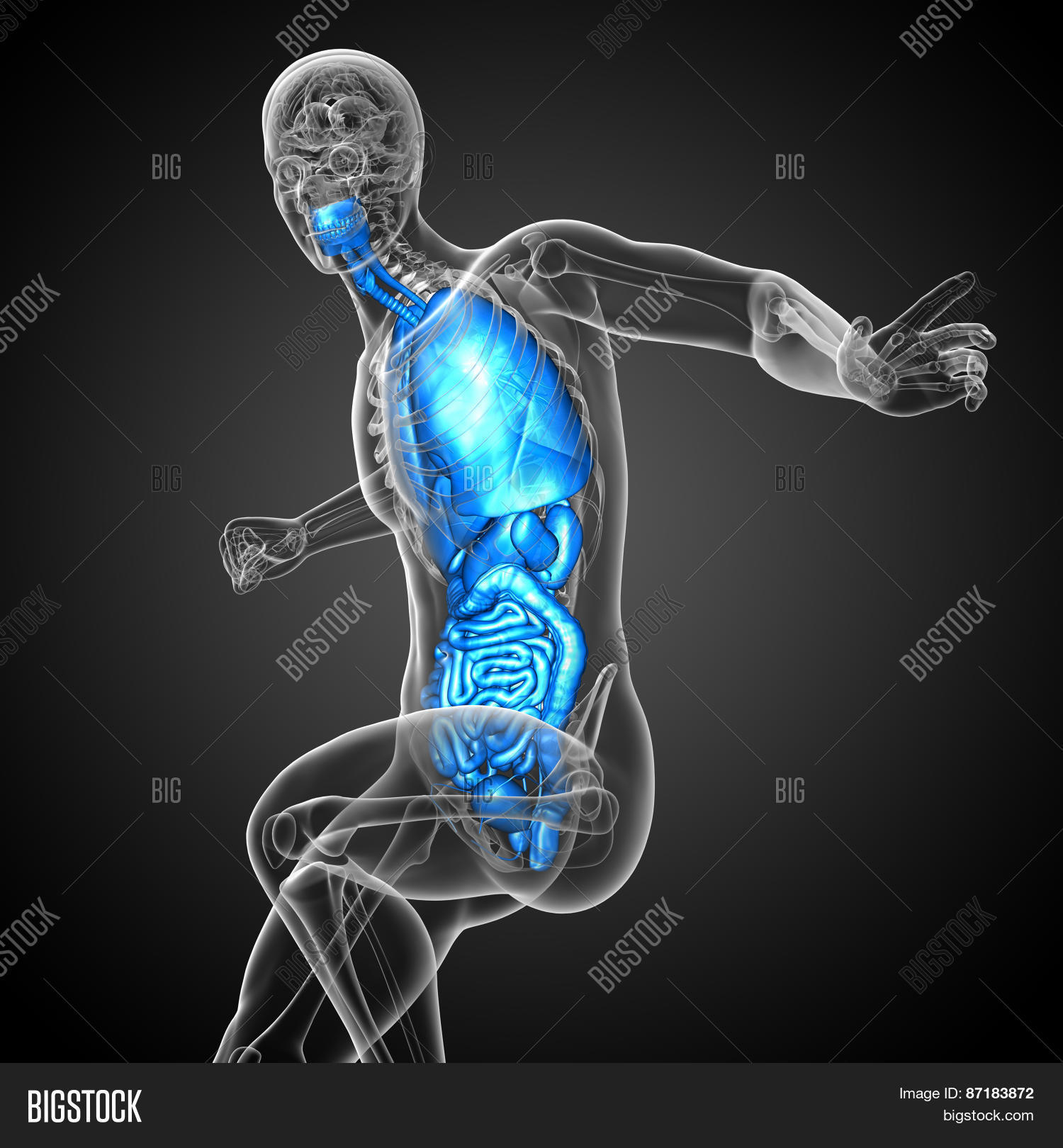 3D Render Medical Image & Photo (Free Trial) | Bigstock
