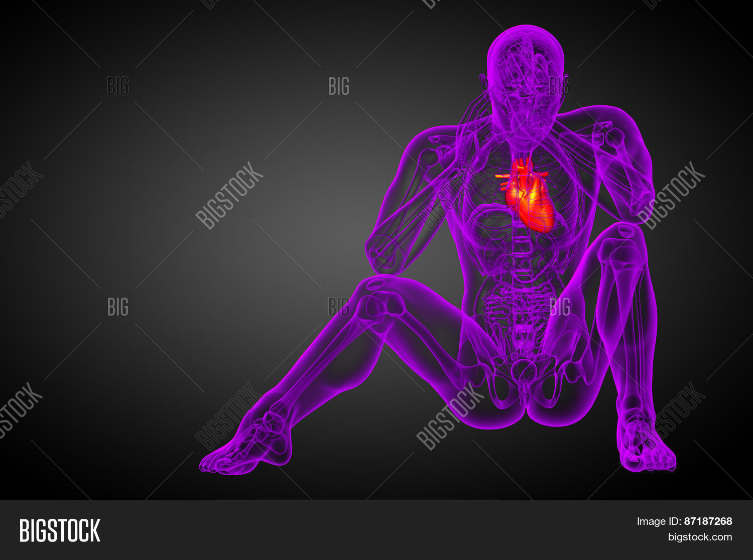 3D Rendered Medical Image & Photo (Free Trial) | Bigstock