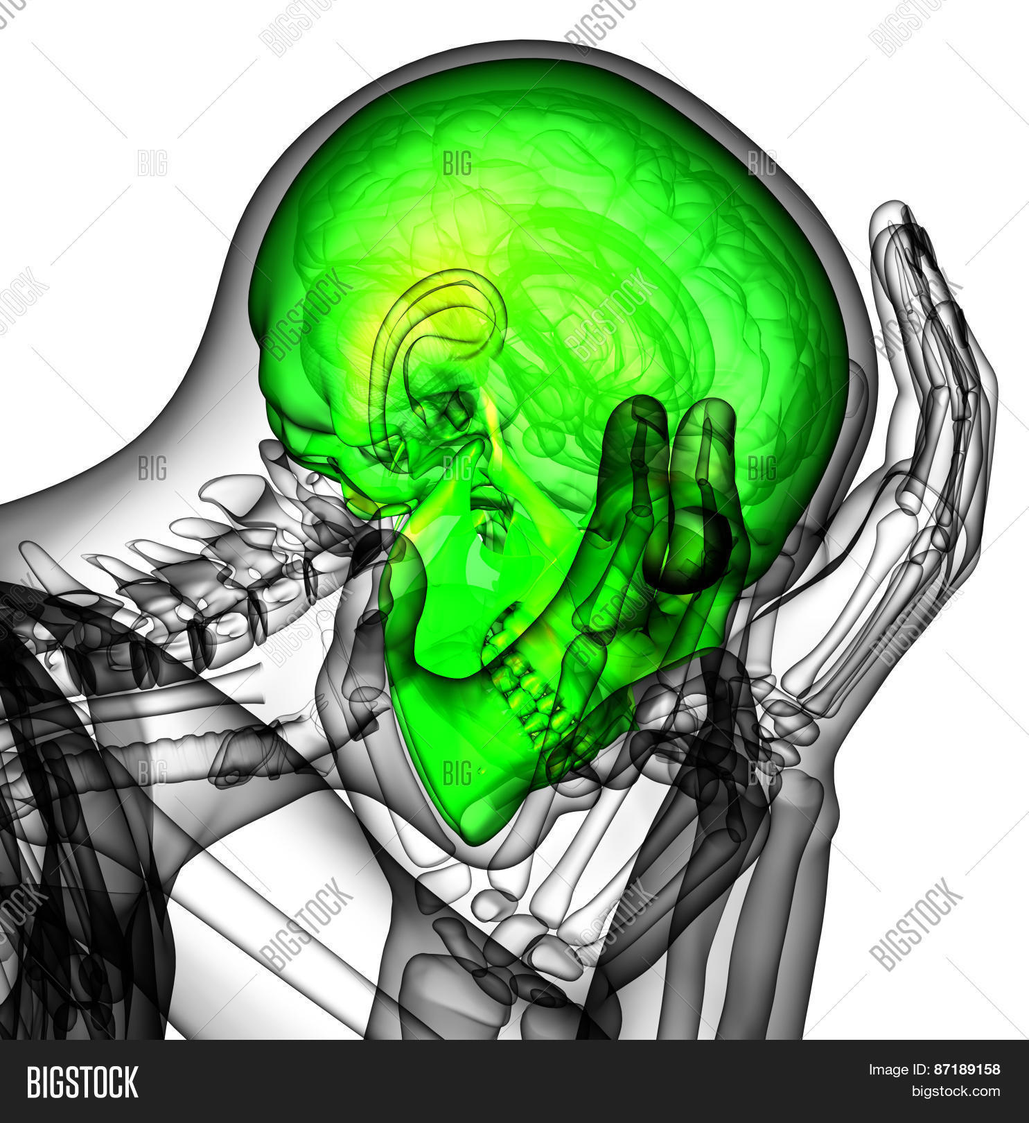 3D Render Human Skull Image & Photo (Free Trial) | Bigstock