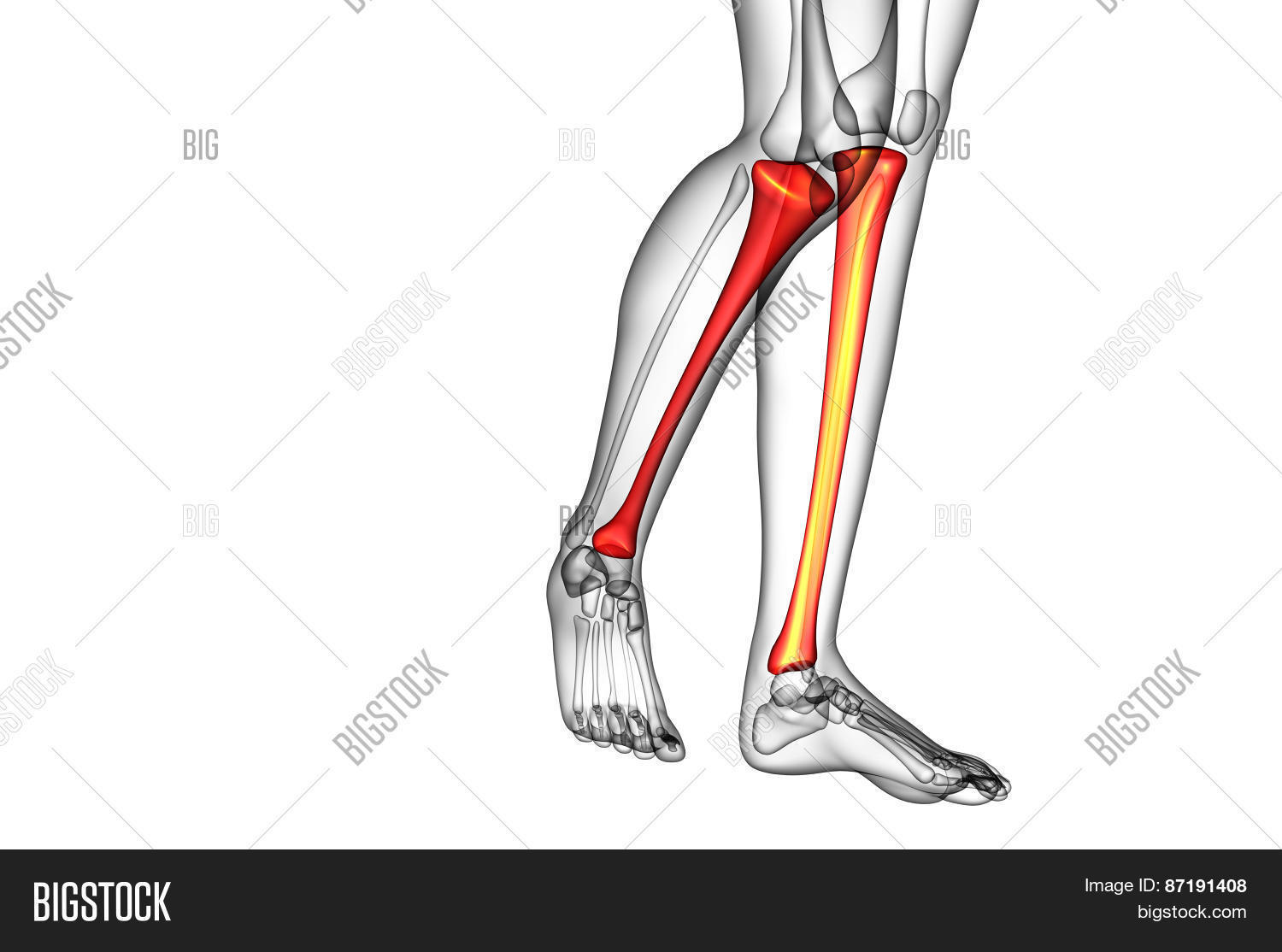 3D Render Medical Image & Photo (Free Trial) | Bigstock