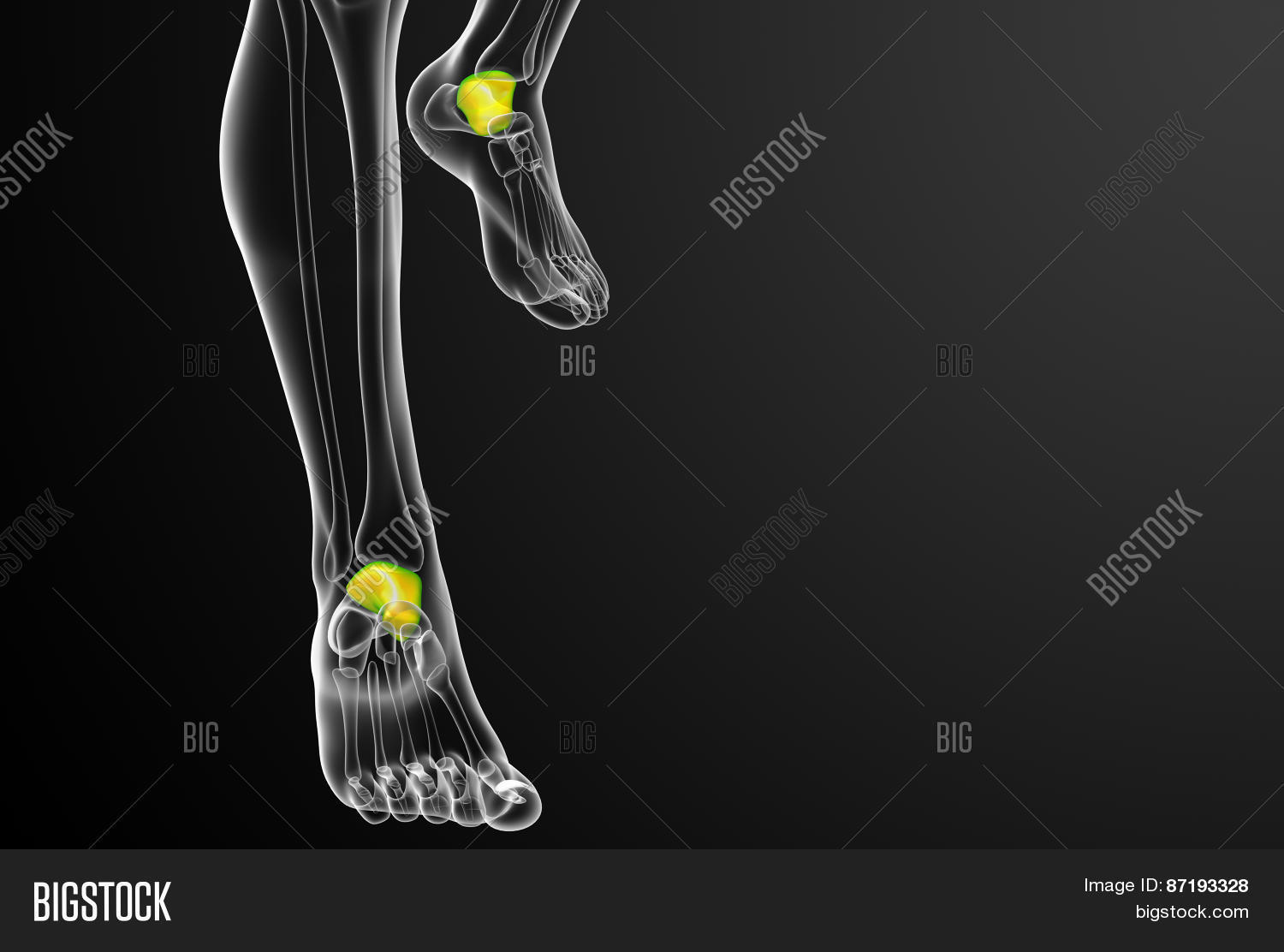 3D Render Illustration Image & Photo (Free Trial) | Bigstock