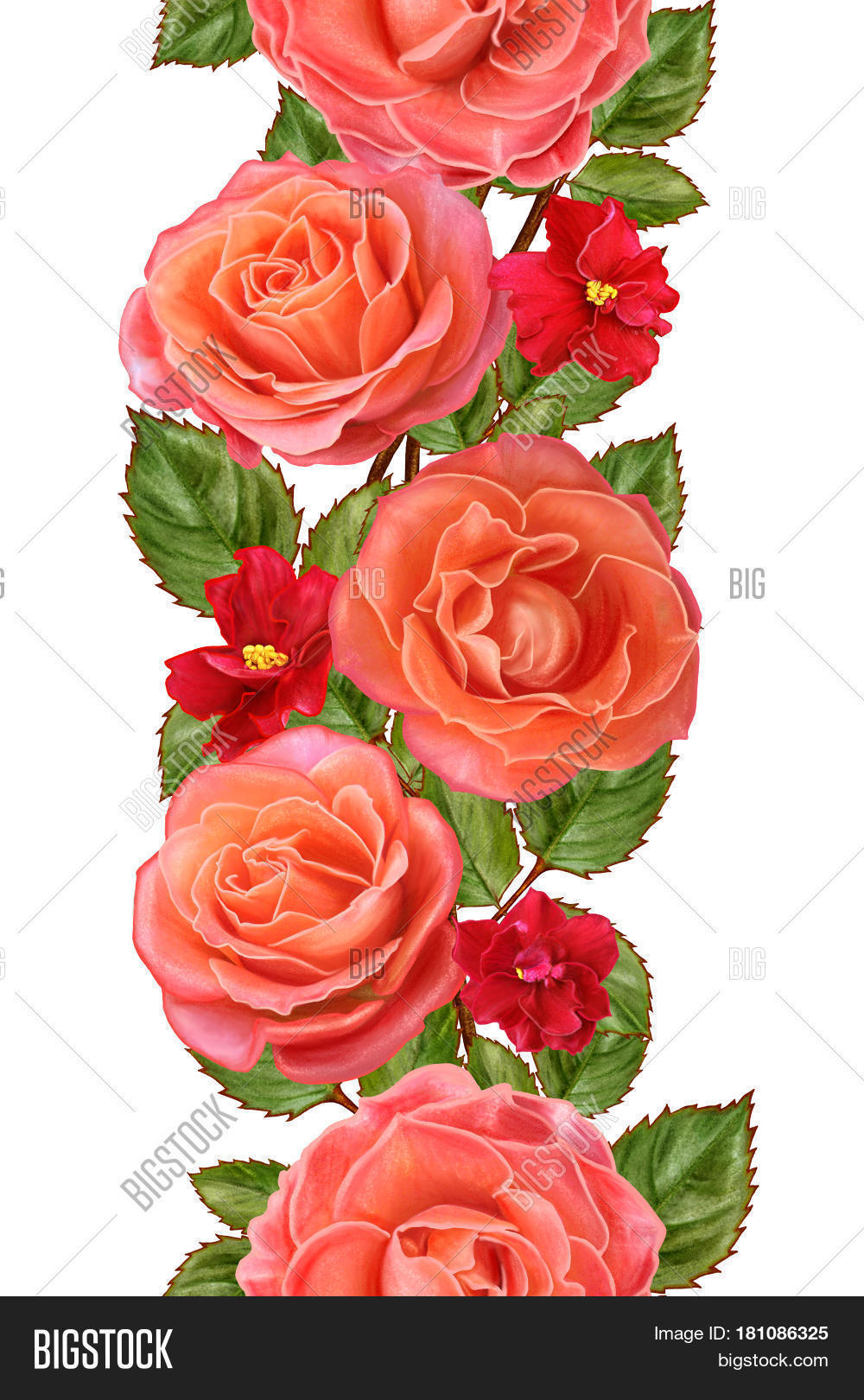 Vertical Floral Border Image And Photo Free Trial Bigstock