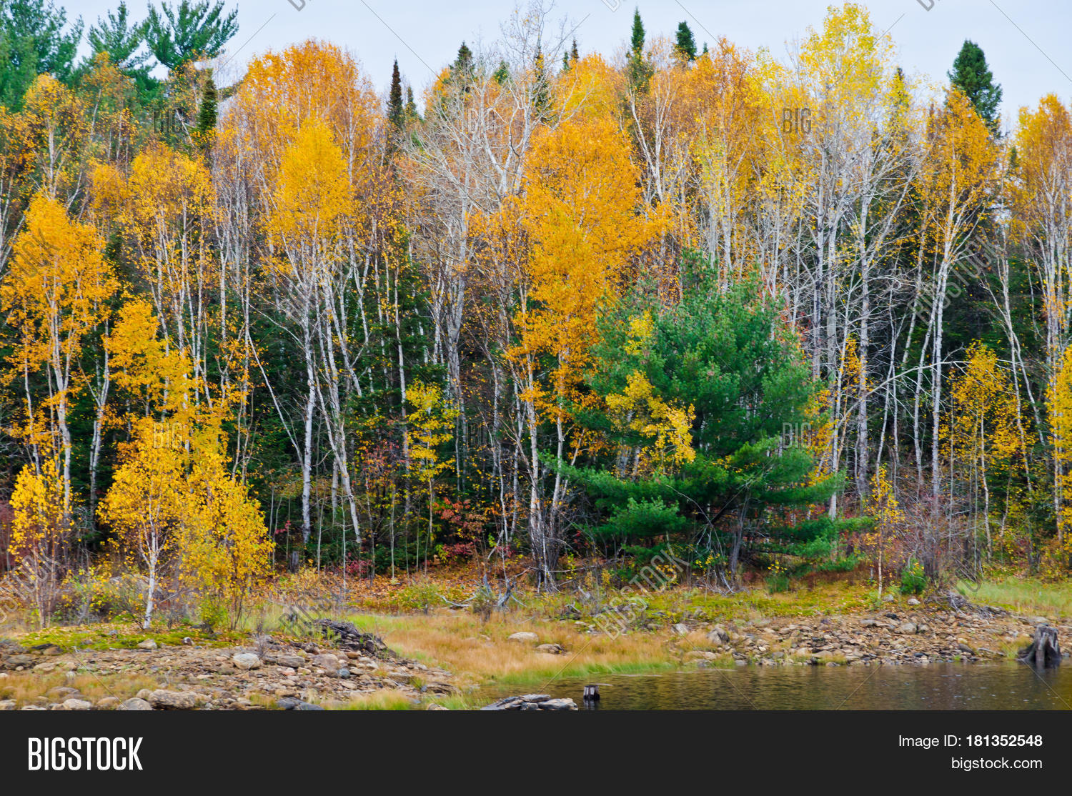 Northern Ontario Image & Photo (Free Trial) | Bigstock