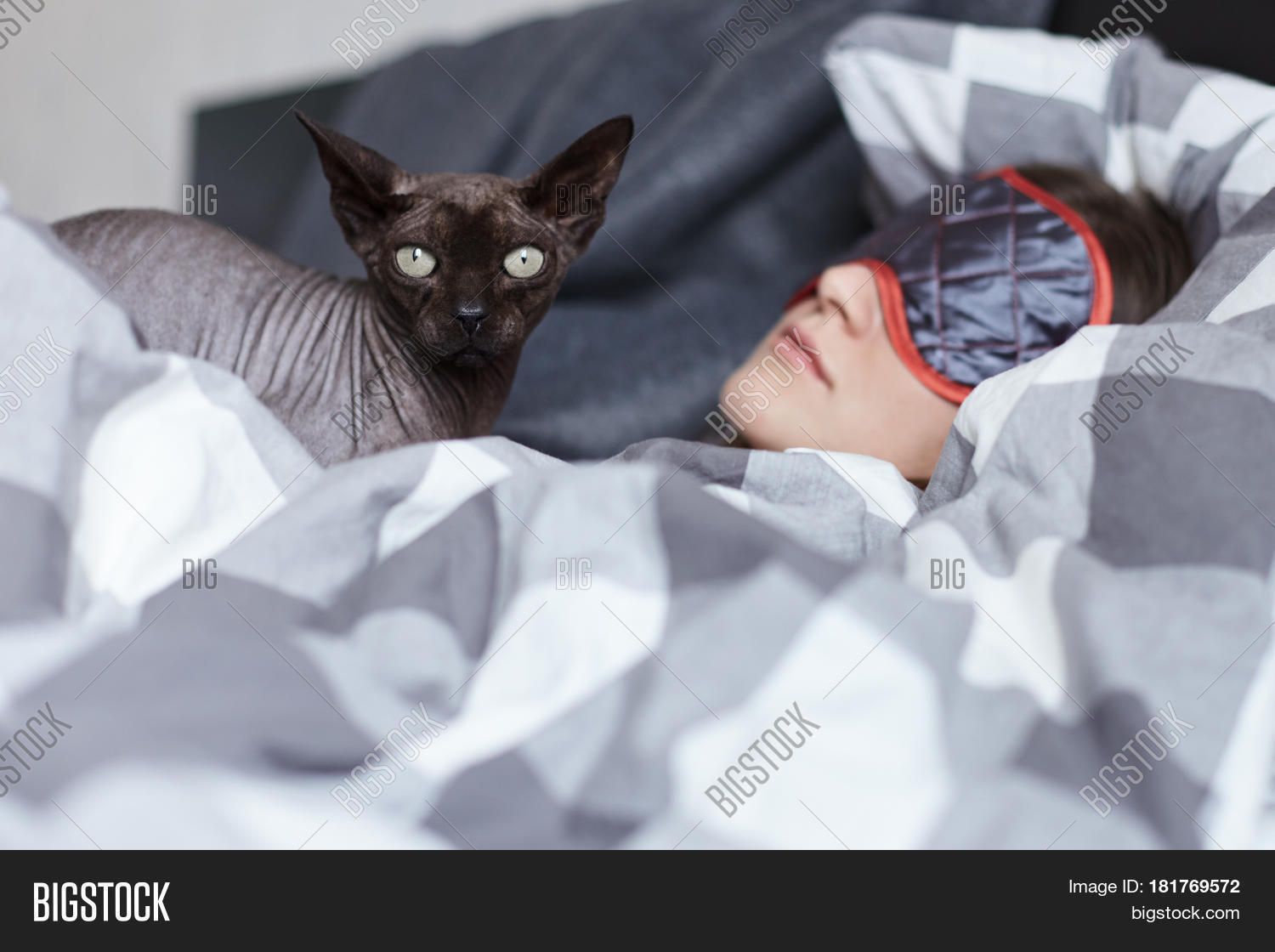 Unique Bodyguard. Image & Photo (Free Trial) | Bigstock