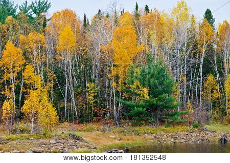 Northern Ontario Image & Photo (Free Trial) | Bigstock