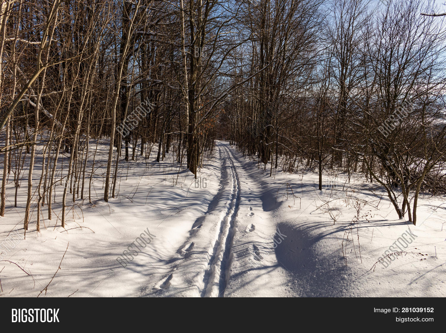 Road Winter Forest. Image & Photo (Free Trial) | Bigstock