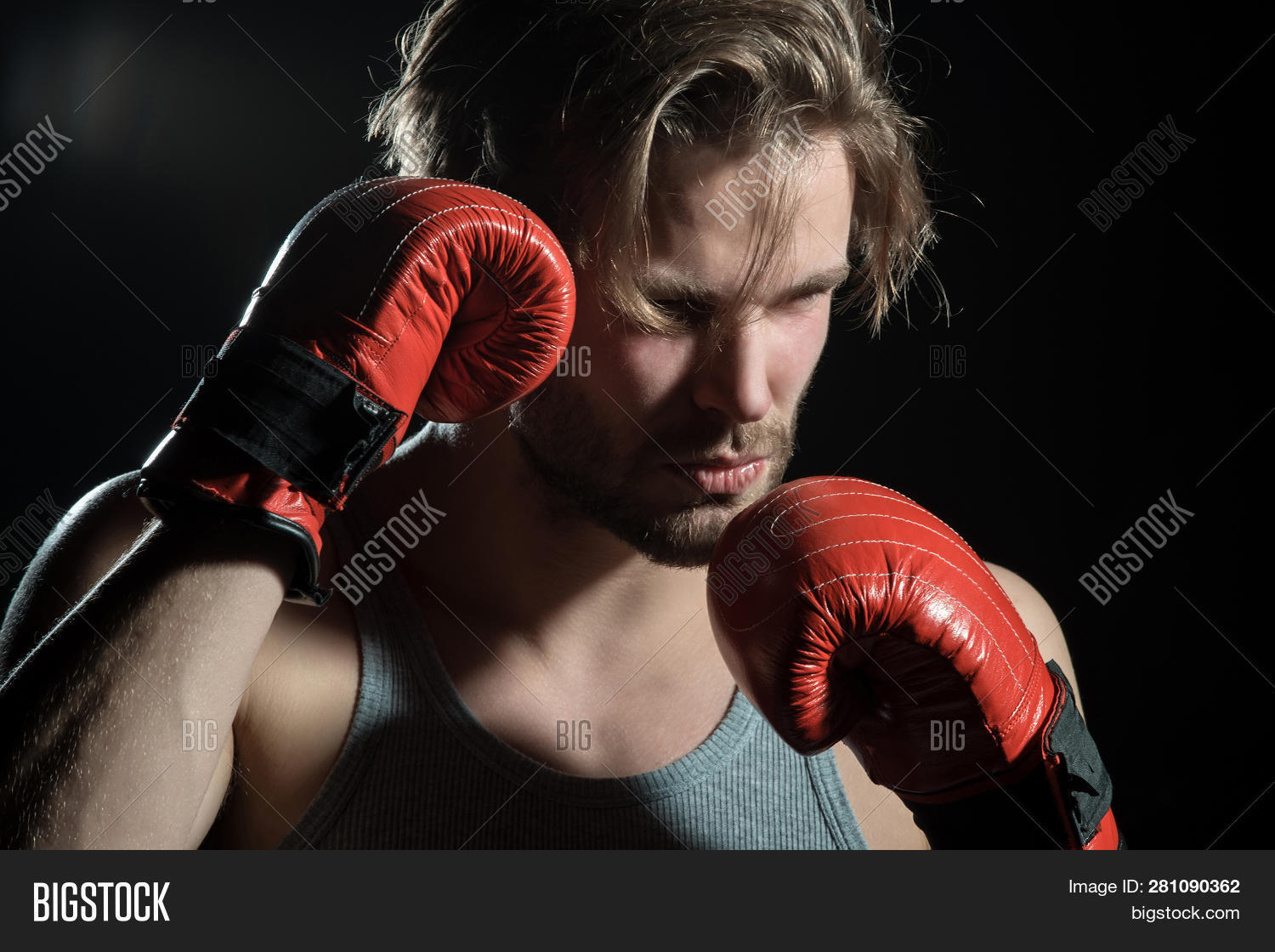 Boxer Close-, Bearded Image & Photo (Free Trial) | Bigstock