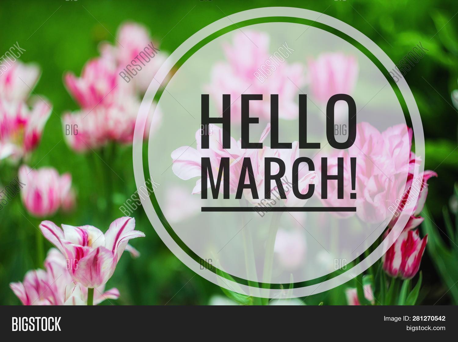 Banner Hello March. Image & Photo (Free Trial) | Bigstock