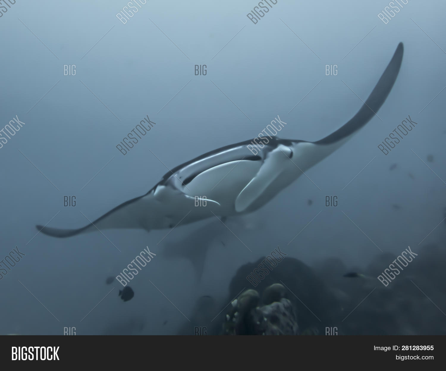 Close Mouth Face Image & Photo (Free Trial) | Bigstock