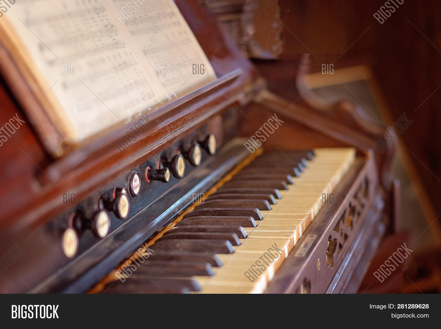 Close Musical Ivory Image & Photo (Free Trial) | Bigstock
