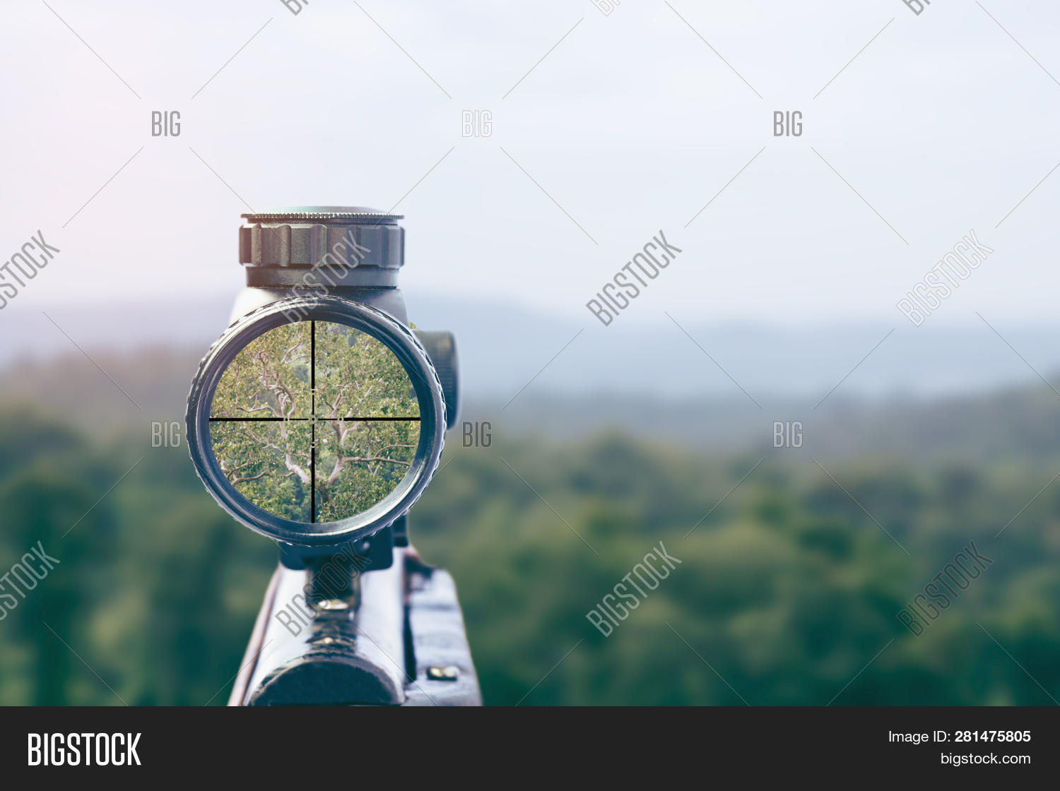 Rifle Target View On Image & Photo (Free Trial) | Bigstock