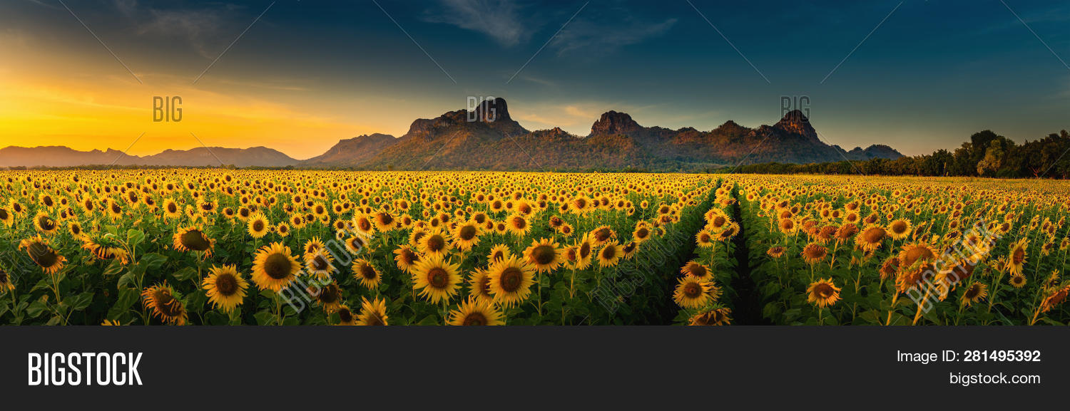 Panorama Landscape Image & Photo (Free Trial) | Bigstock