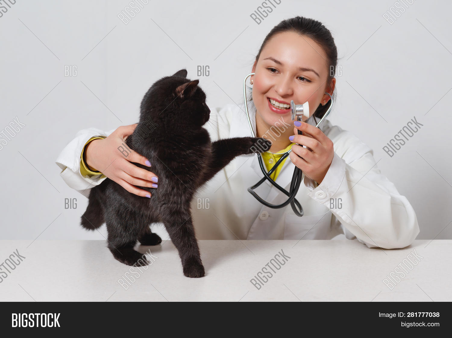 Cute Black Cat Doctor' Image & Photo (Free Trial) | Bigstock
