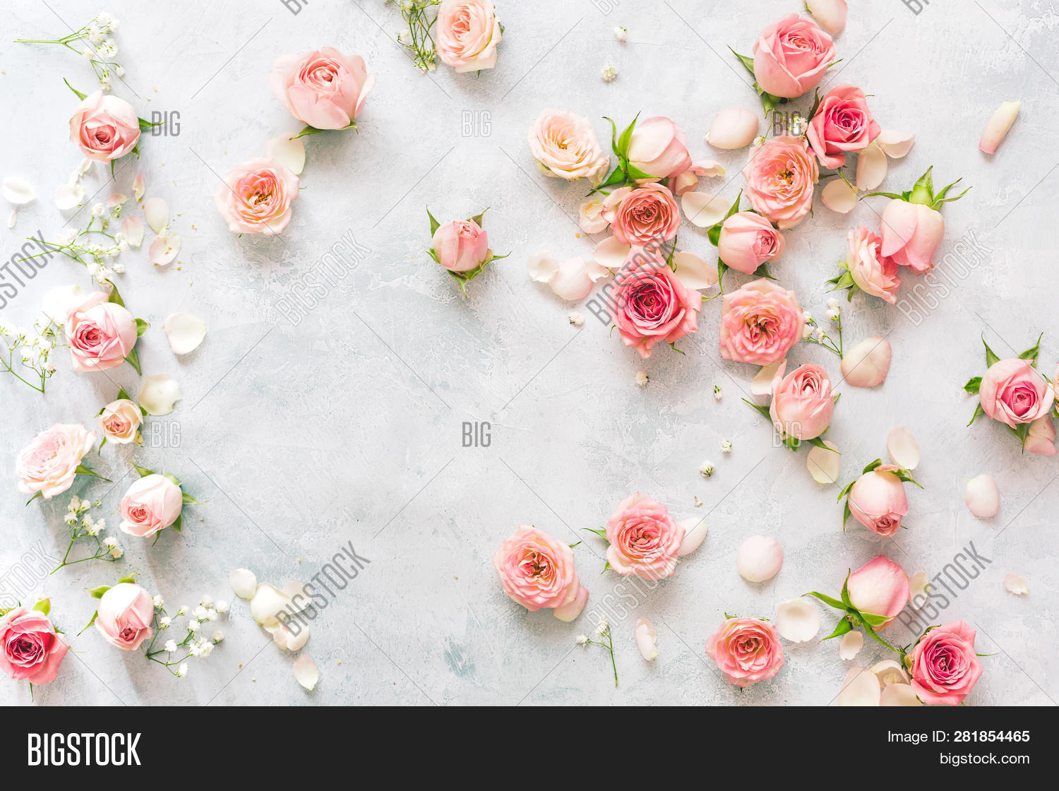 Rose Background. Image & Photo (Free Trial) | Bigstock