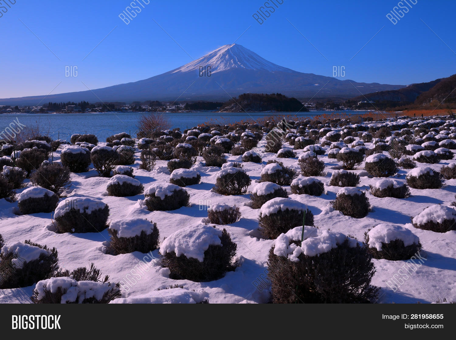 Mt. Fuji Snowy Scenery Image & Photo (Free Trial) | Bigstock