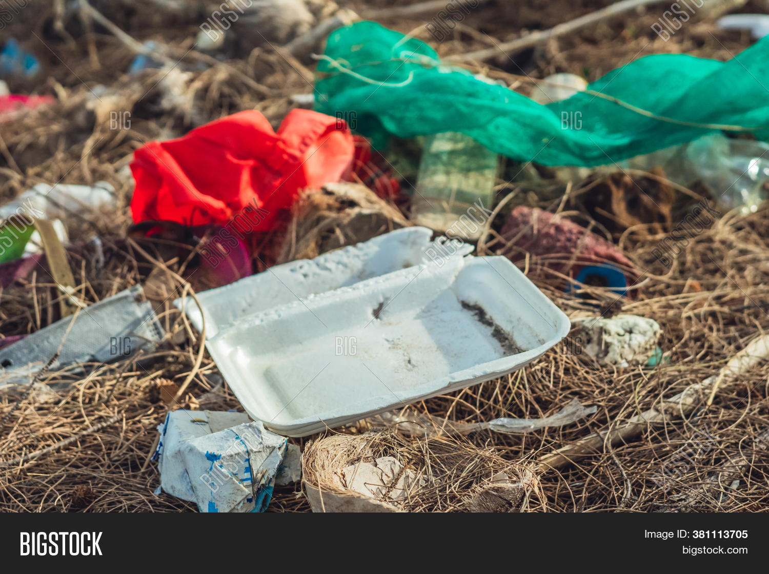 Spilled Recycling Image & Photo (Free Trial) | Bigstock