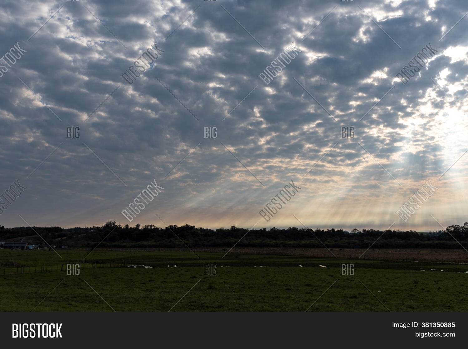 Late Afternoon Image & Photo (Free Trial) | Bigstock