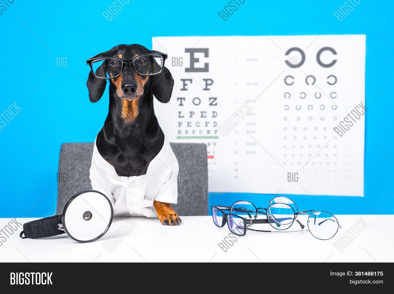 Visual Acuity Chart Funny