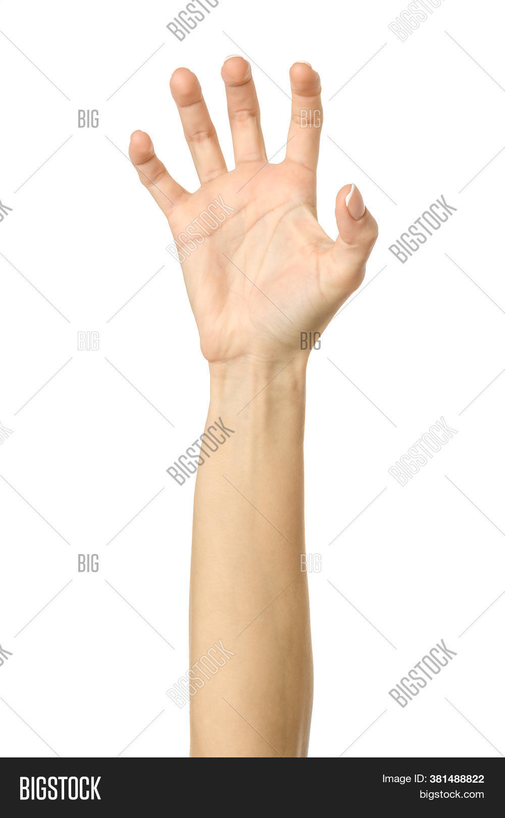 Pulling, Grabbing, Image & Photo (Free Trial) | Bigstock