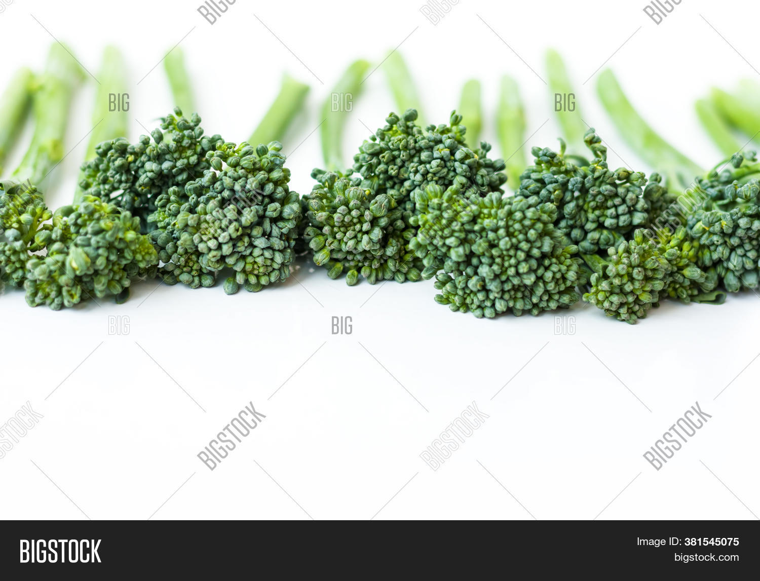 Fresh Broccolini Image & Photo (Free Trial) | Bigstock