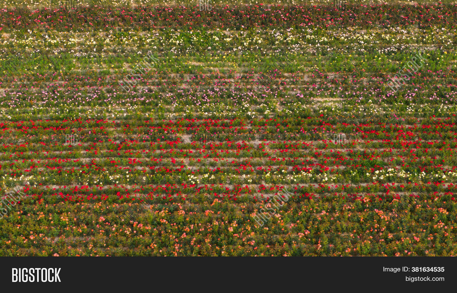 Aerial View Colorful Image & Photo (Free Trial) | Bigstock