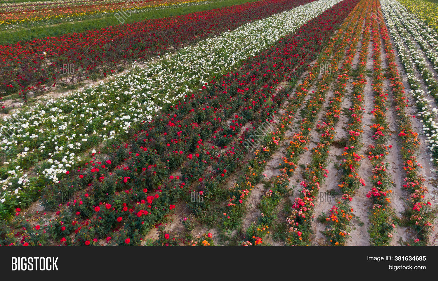 Aerial View Colorful Image & Photo (Free Trial) | Bigstock