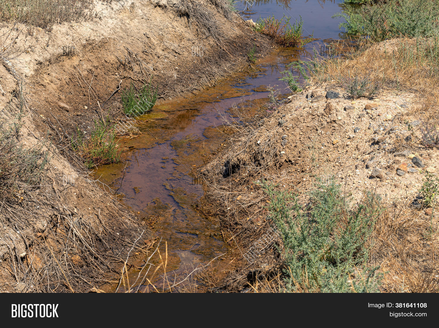 Ecological Problem Image & Photo (Free Trial) | Bigstock