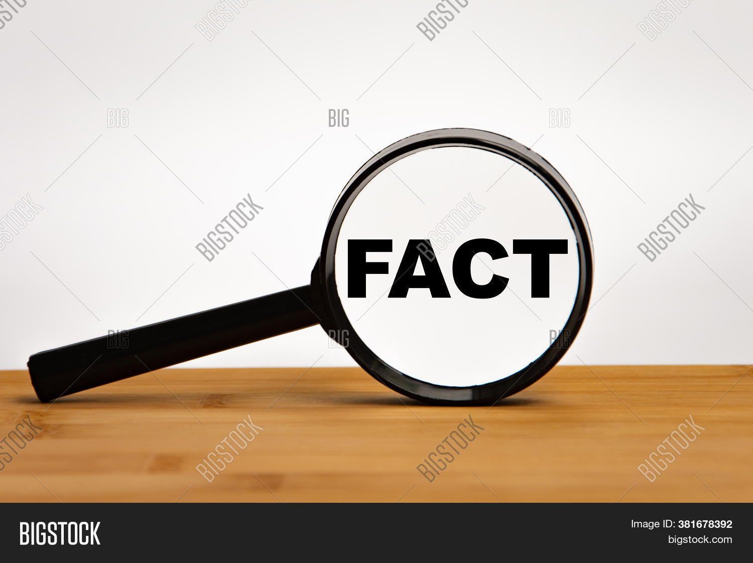 Focused On Business Image & Photo (Free Trial) | Bigstock