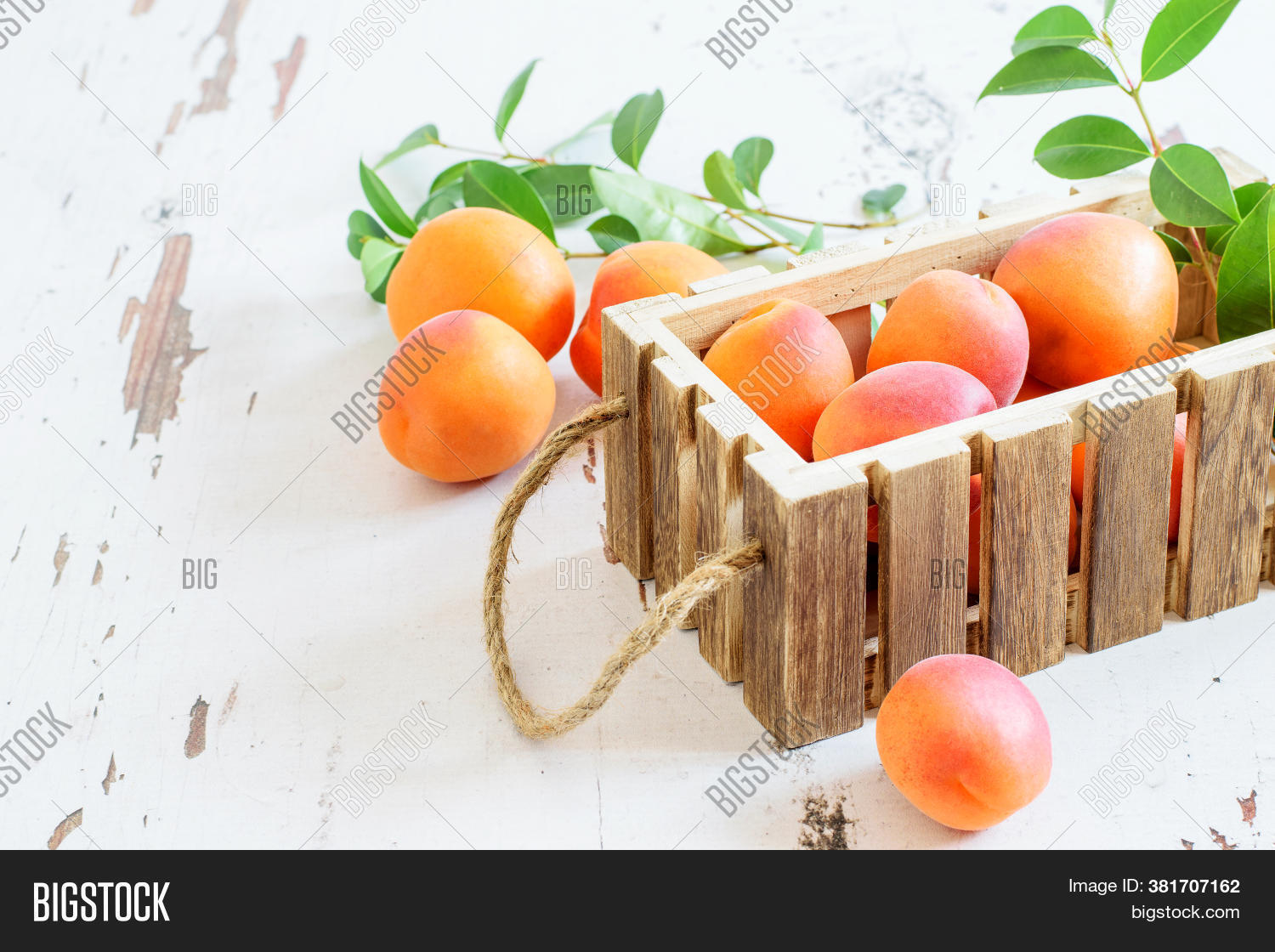 Fresh Ripe Apricots Image & Photo (Free Trial) | Bigstock