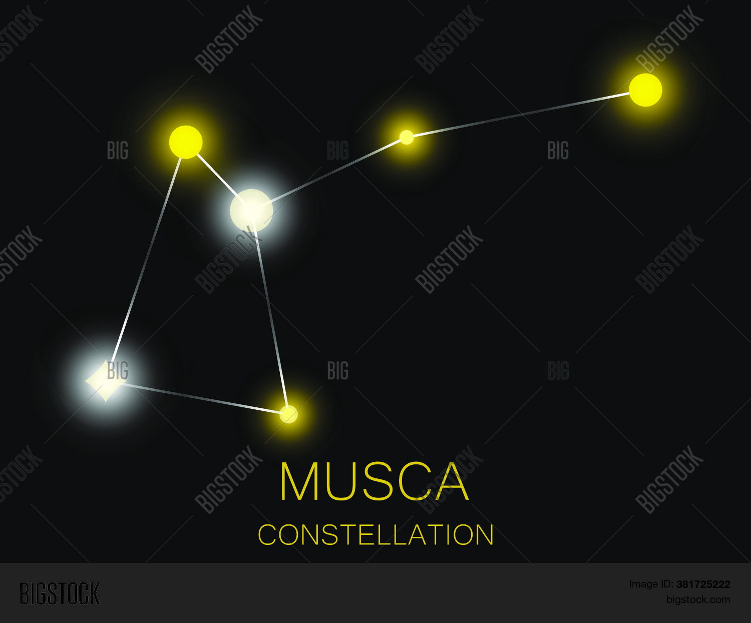 Musca Constellation. Vector & Photo (Free Trial) | Bigstock